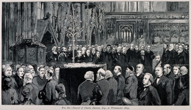 26-Apr-1882: Charles Darwin buried in Westminster Abbey – The Friends ...